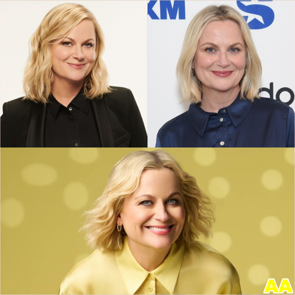 Amy Poehler from SNL left fans puzzled after confessing she felt uncomfortable because her work ...