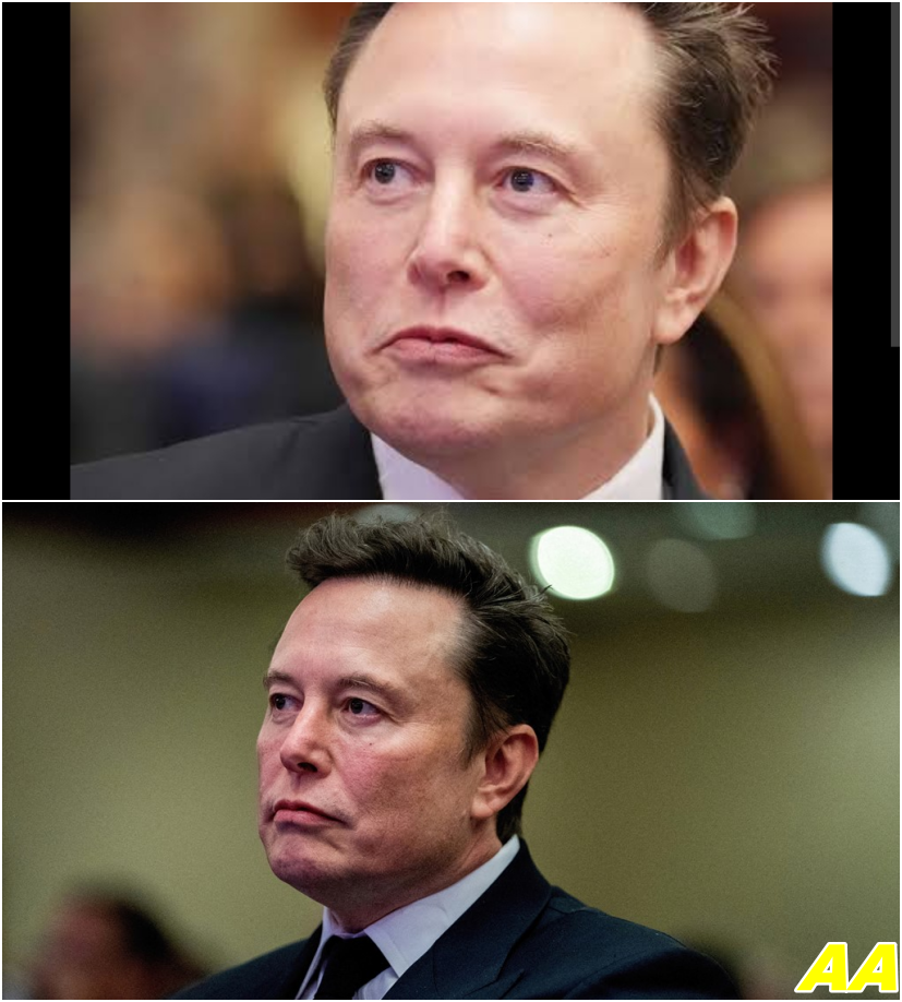 Elon Musk just shocked the world with a jaw-dropping $5,000 gift for ...