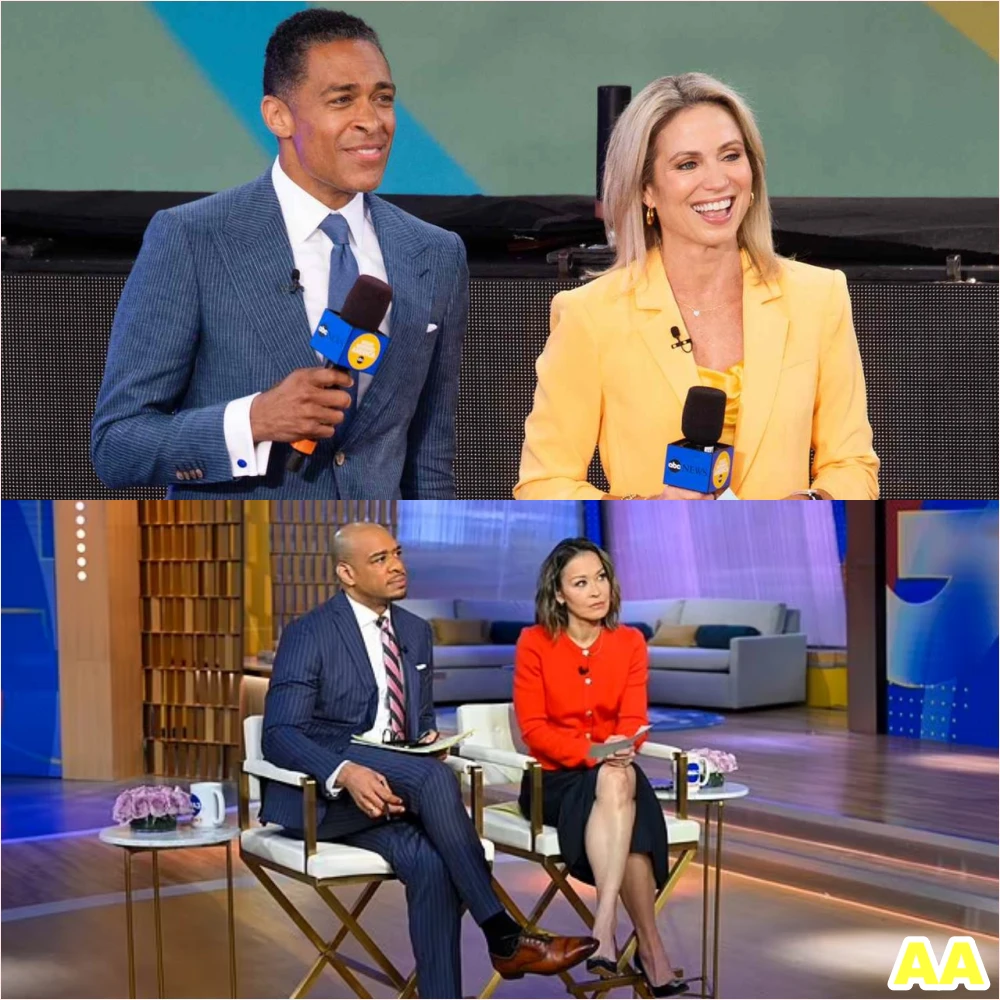 Almin Karamehmedovic, the head of ABC, has explained his reasoning ...