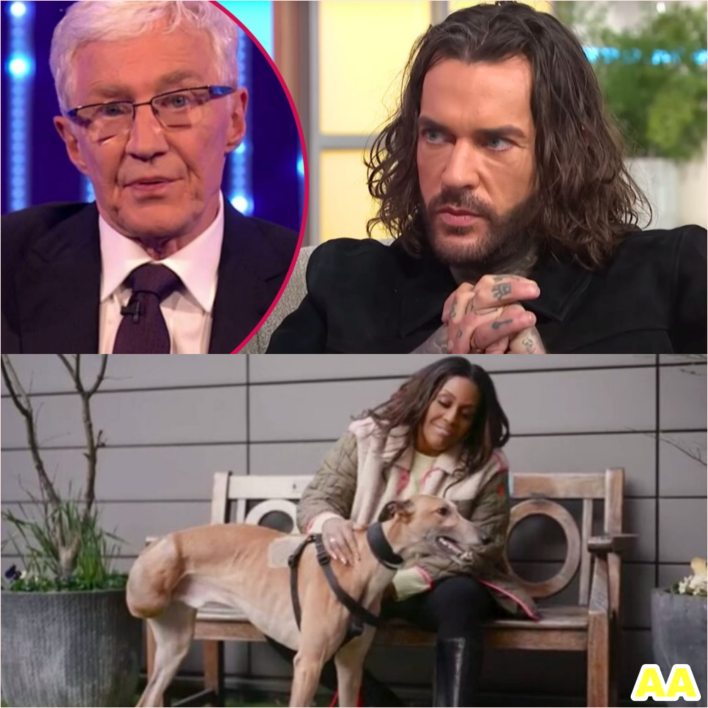 Pete Wicks ‘lands second series’ of For Dogs’ Sake: ‘A worthy successor ...